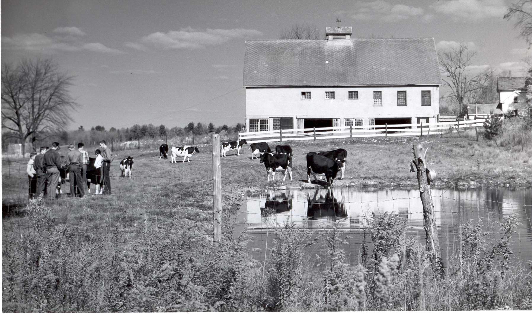 Alvirne Barn « Remember Hudson NH When...